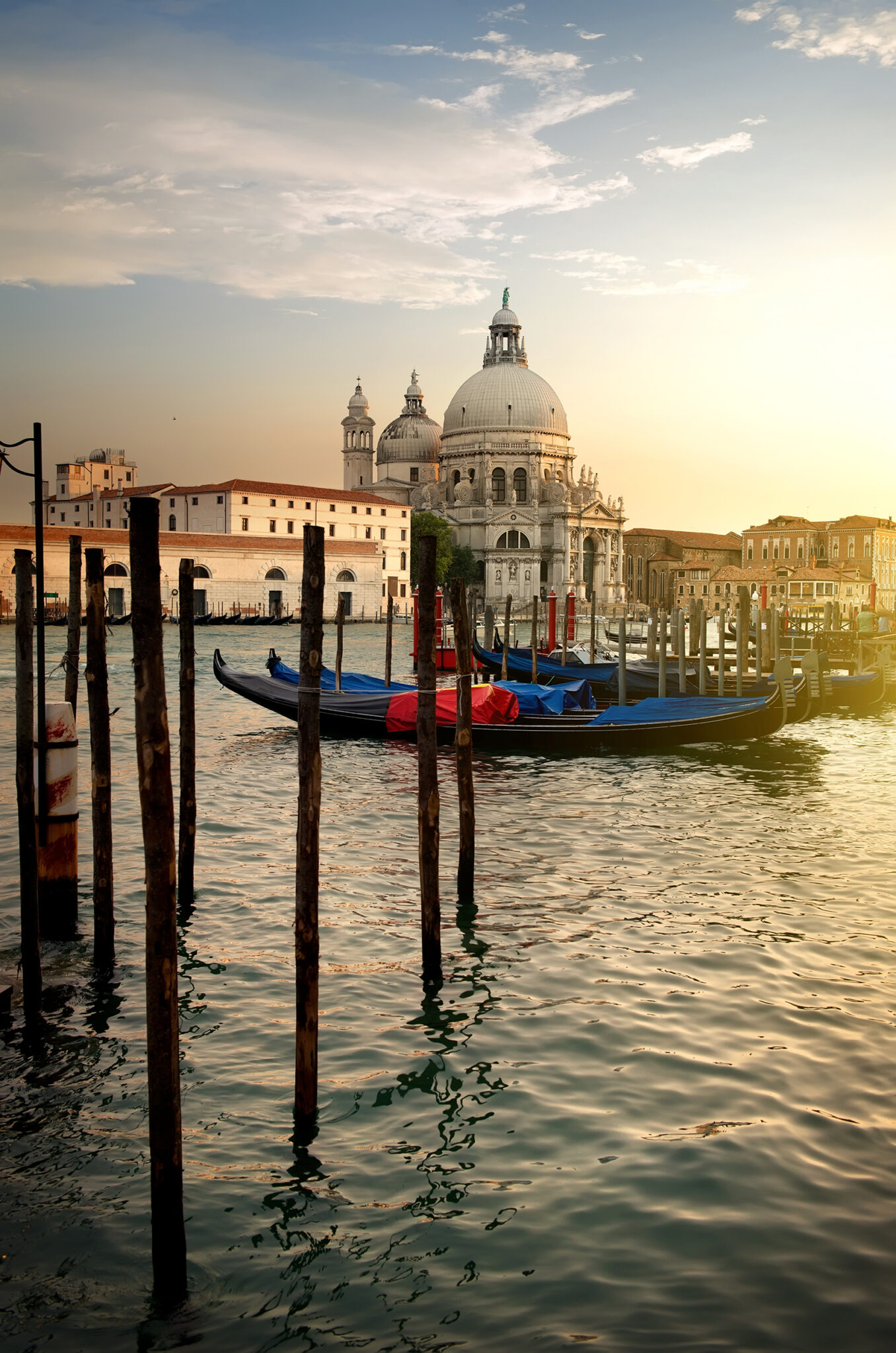 AIRE Registration - Italian American Citizenship Assistance Program