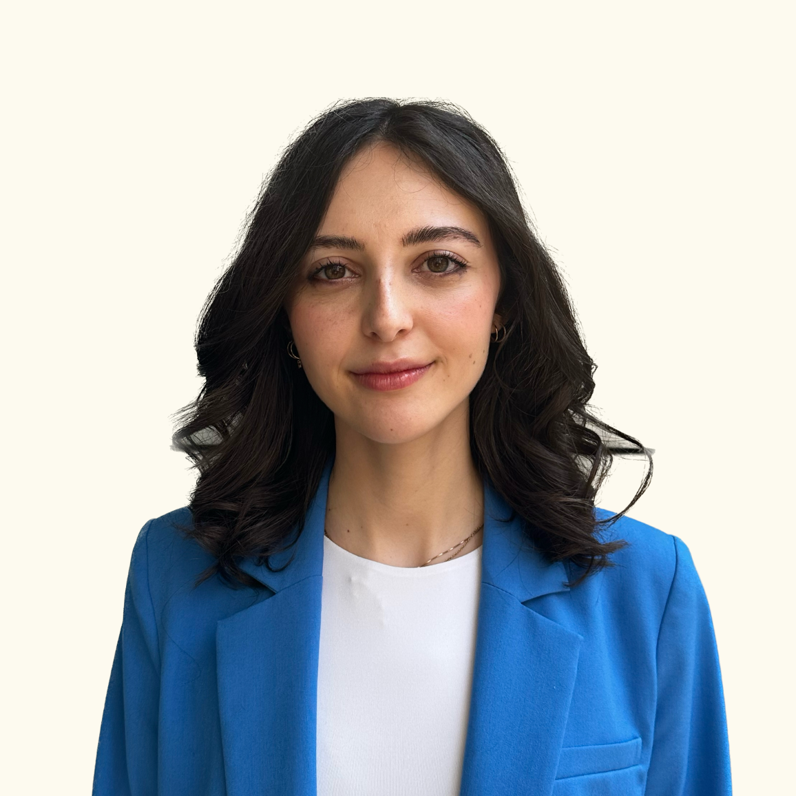 Our Team - Italian American Citizenship Assistance Program